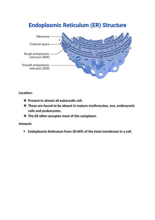 Endoplasmic Reticulum.........................docx