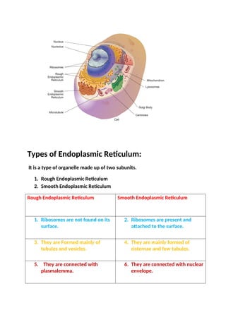 Endoplasmic Reticulum.........................docx