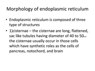 Endoplasmic reticulum | PPTX