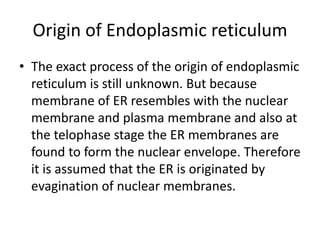 Endoplasmic reticulum | PPTX
