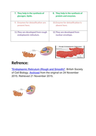 Endoplasmic Reticulum....................... (1).docx
