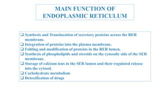 endoplasmic reticulum | PPTX