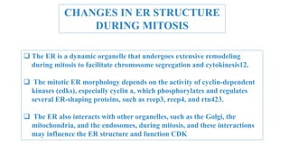 endoplasmic reticulum | PPTX