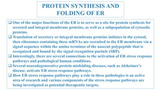endoplasmic reticulum | PPTX