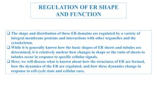 endoplasmic reticulum | PPTX