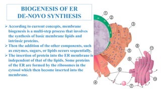 endoplasmic reticulum | PPTX