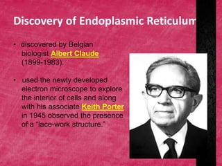 Endoplasmic reticulum | PPT