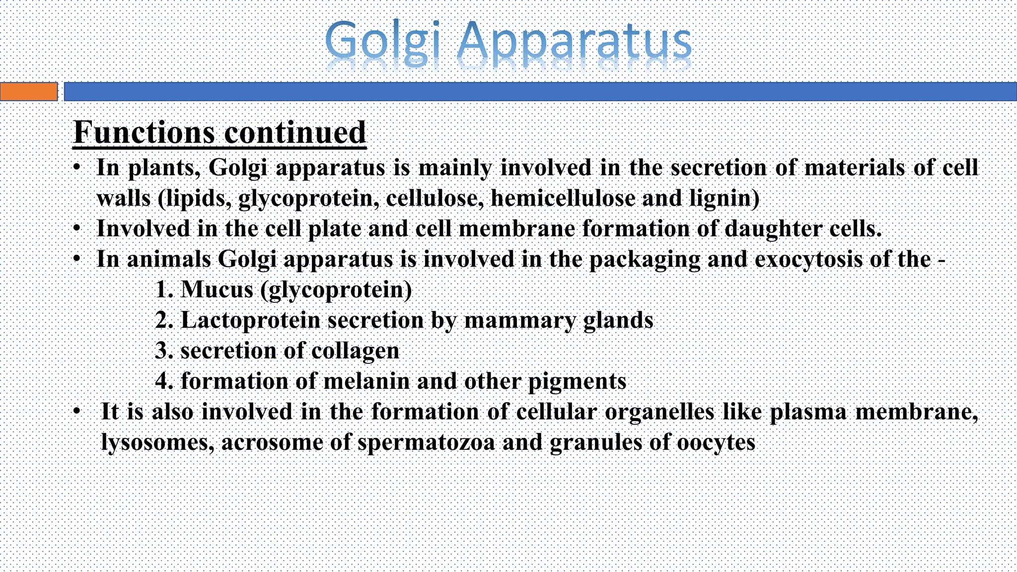 Endoplasmic Reticulum and Golgi Apparatus.pptx