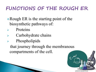 Endoplasmic reticulum class IX | PPTX