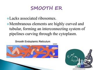 Endoplasmic reticulum class IX | PPTX