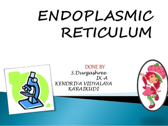 Endoplasmic Reticulum Class 9 Science Notes