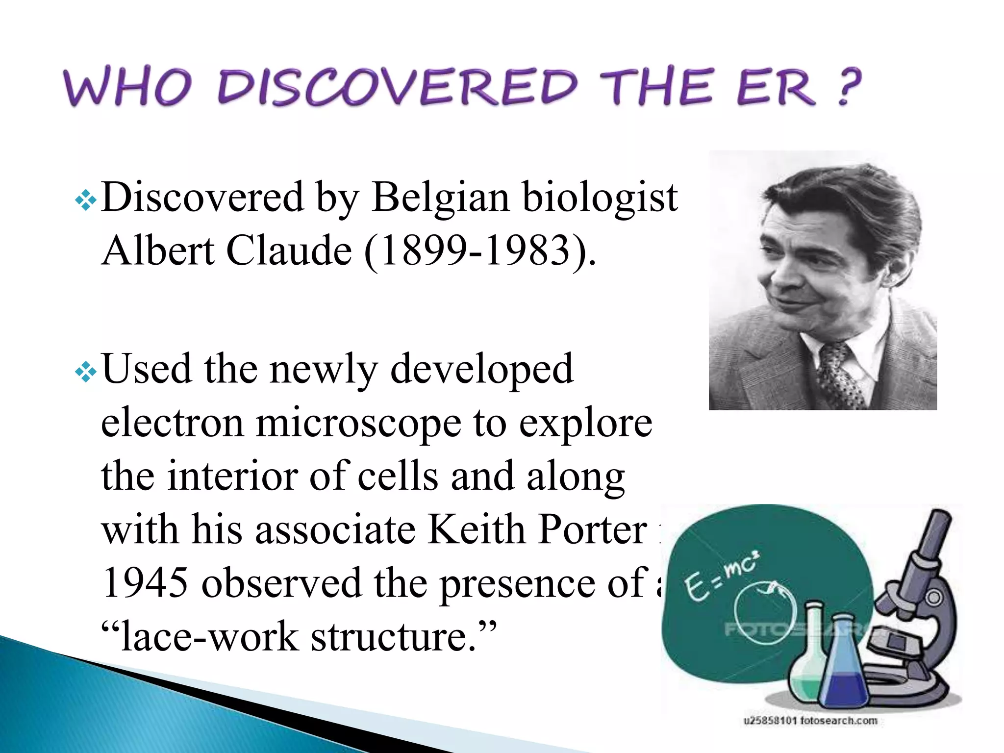 Endoplasmic reticulum class ix | PPTX