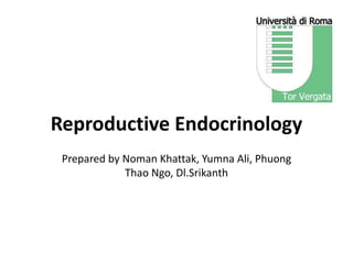 Reproductive Endocrinology | PPTX