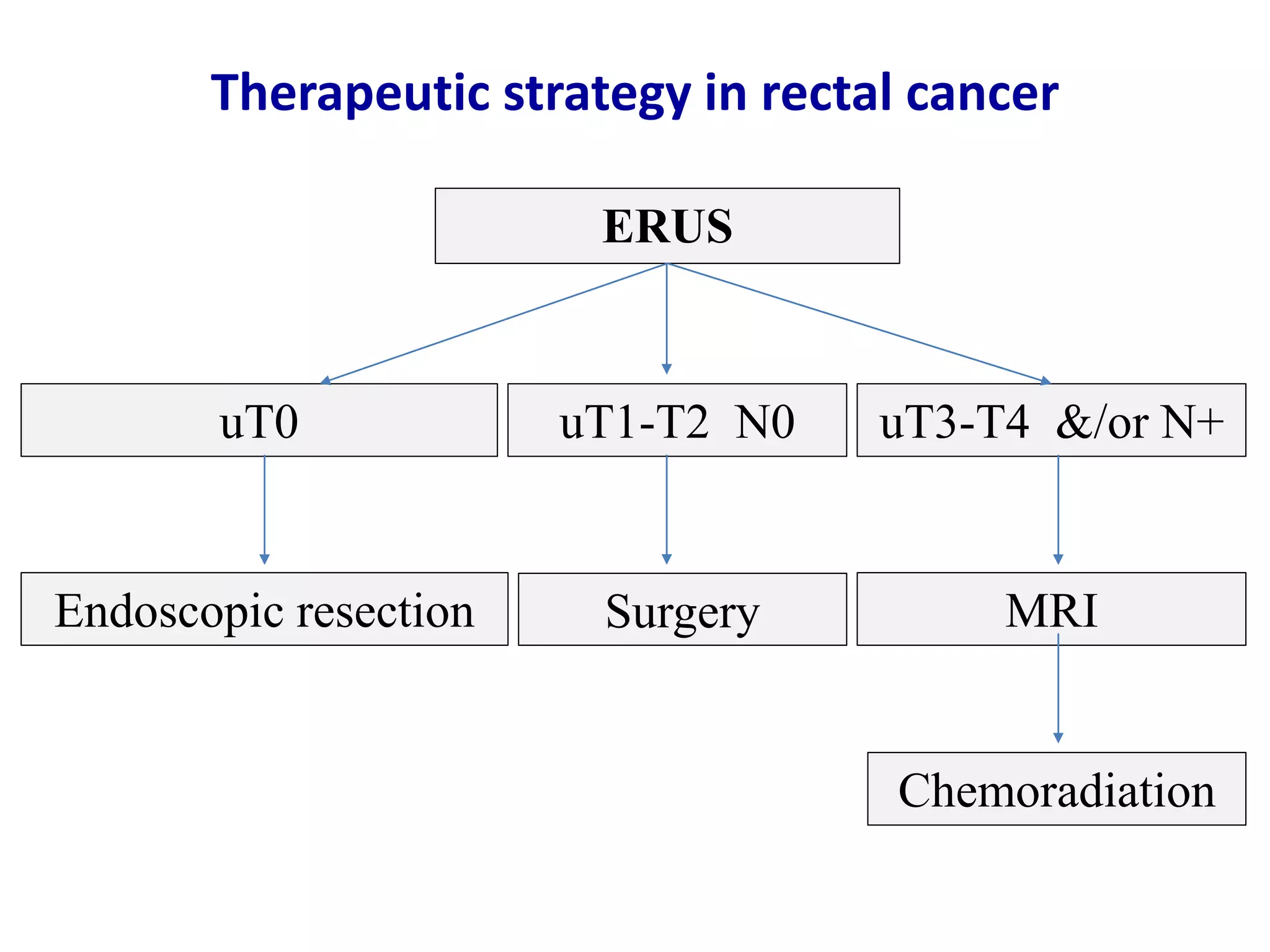 Endorectal ultrasound in rectal diseases | PPTX