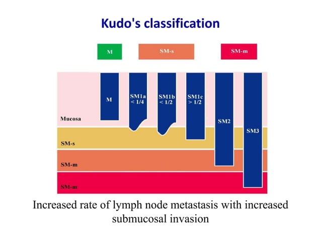 Endorectal ultrasound in rectal diseases | PPTX | Digestive Disorders ...