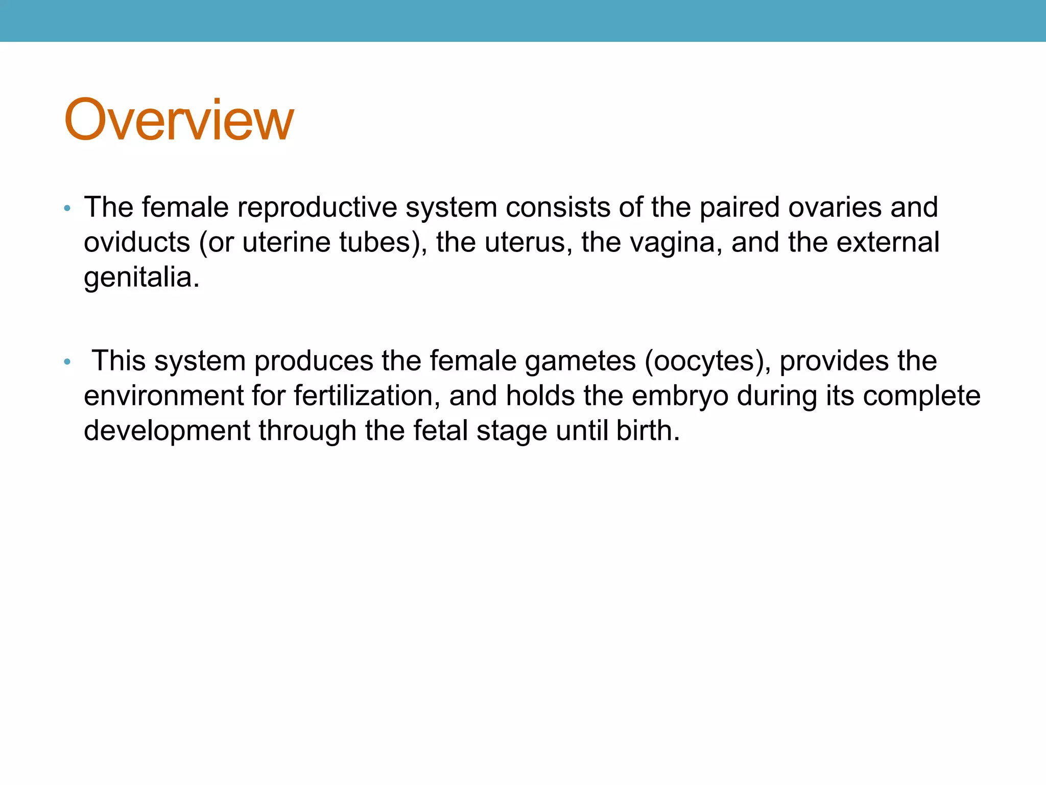 Endo Repro Anatomy and Histology | PPTX