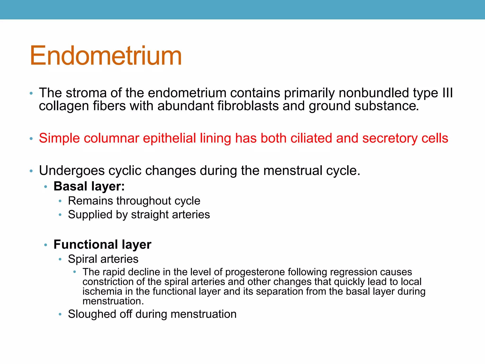Endo Repro Anatomy and Histology | PPTX