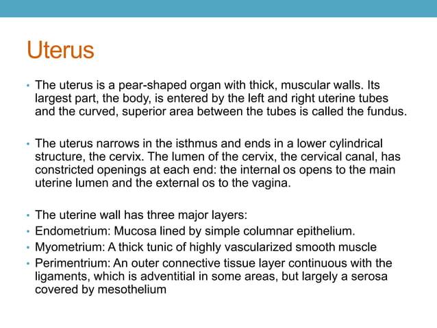 Endo Repro Anatomy and Histology | PPTX