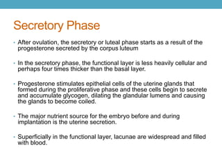Endo Repro Anatomy and Histology | PPTX