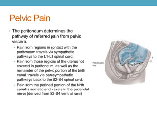 Endo Repro Anatomy and Histology | PPTX