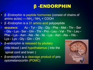 presentation on Endorphin hormone | PPTX