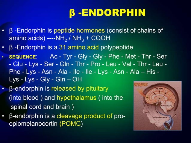 presentation on Endorphin hormone | PPTX | Substance Abuse | Diseases ...