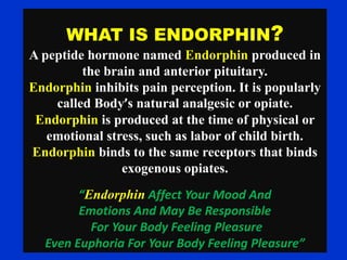 presentation on Endorphin hormone | PPT