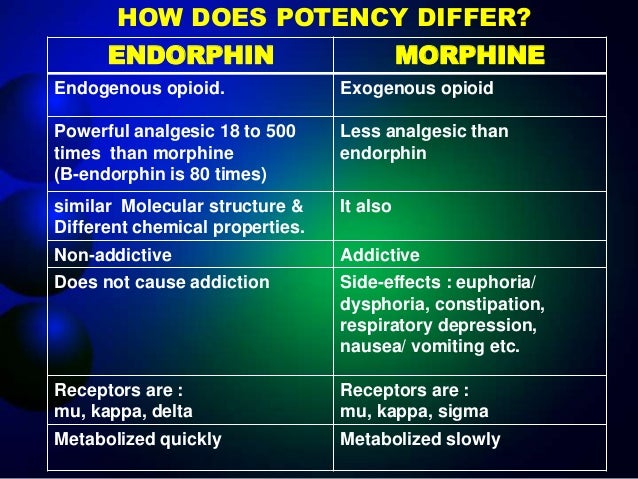 presentation on Endorphin hormone