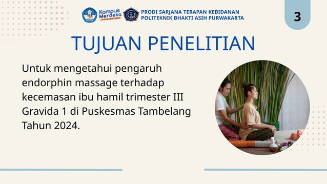 PRESENTASI ENDORPHINE MASSAGE BIDAN ELLY.pptx