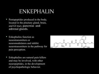 Endorphins and enkephalins concept types and functions | PPT