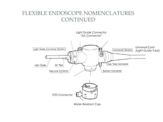 Endoscope In-Service | PPT