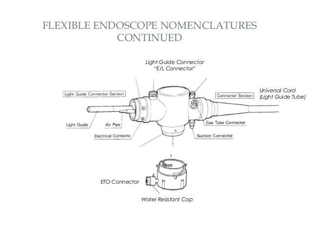 Endoscope In-Service