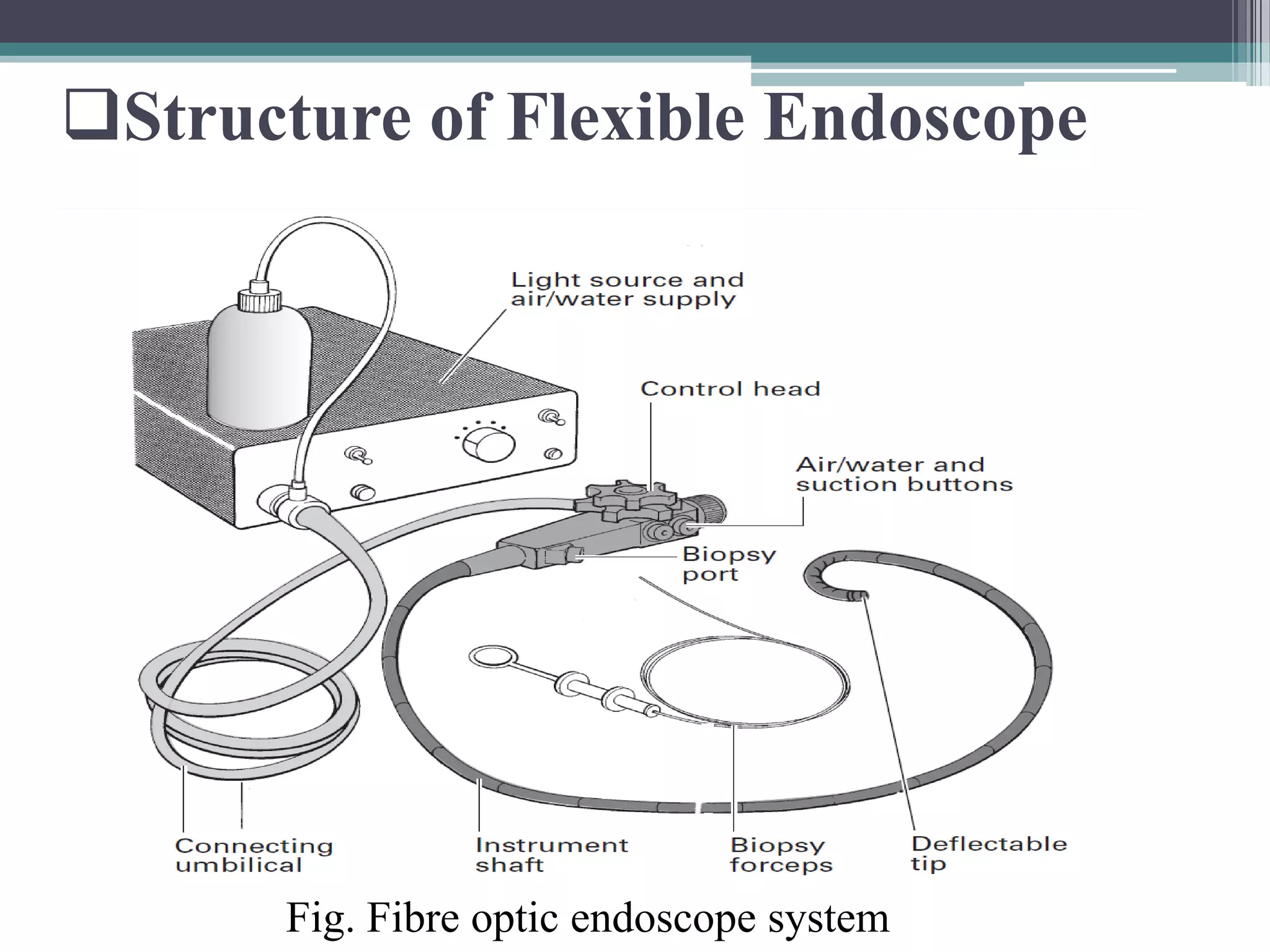 Endoscopes - Biomedical Engineering | PDF