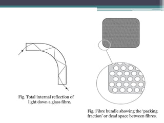 Endoscopes - Biomedical Engineering | PDF