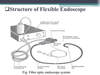 Endoscopes - Biomedical Engineering | PDF
