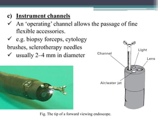 Endoscopes - Biomedical Engineering | PDF