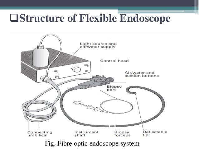 Endoscopes - Biomedical Engineering