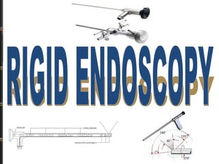 endoscopes presentation.pdf