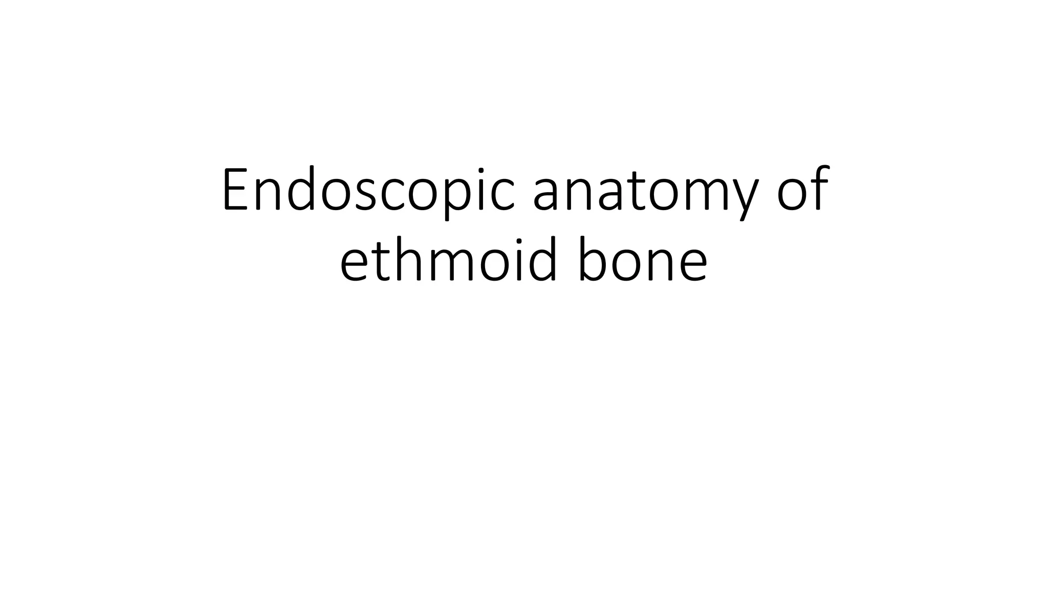 Endoscopic anatomy of ethmoid bone | PDF | Ear, Nose and Throat ...