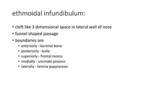 Endoscopic anatomy of ethmoid bone | PDF