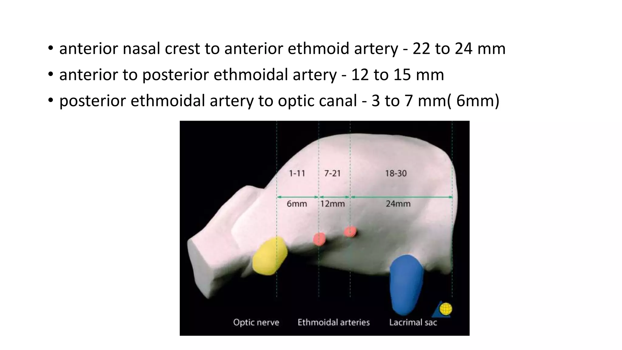 Endoscopic anatomy of ethmoid bone | PPTX