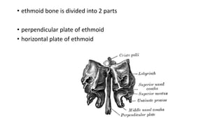 Endoscopic anatomy of ethmoid bone | PPTX