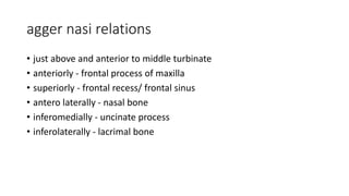 Endoscopic anatomy of ethmoid bone | PPTX