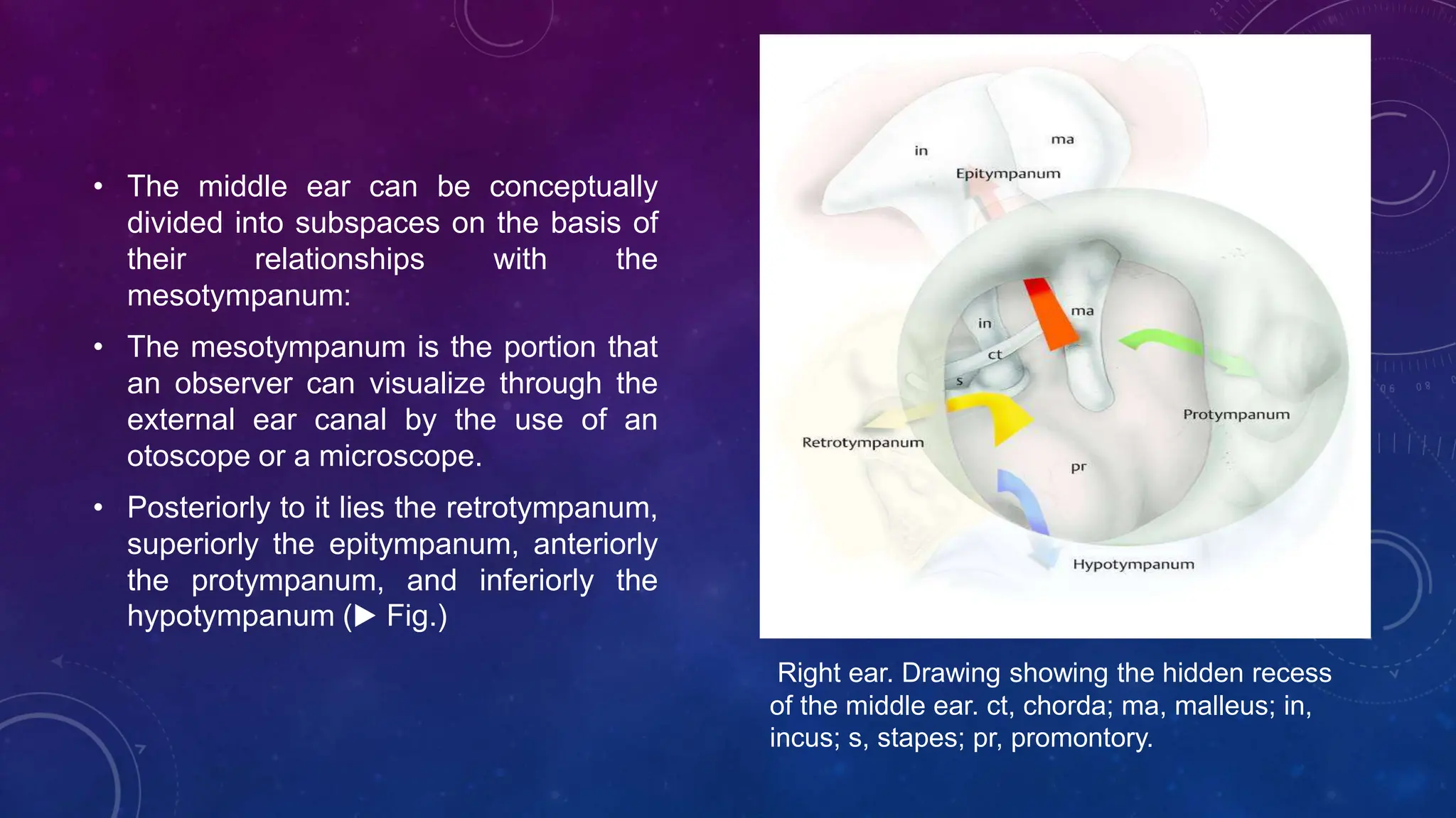 Endoscopic anatomy of middle ear.jshpptx | PPTX