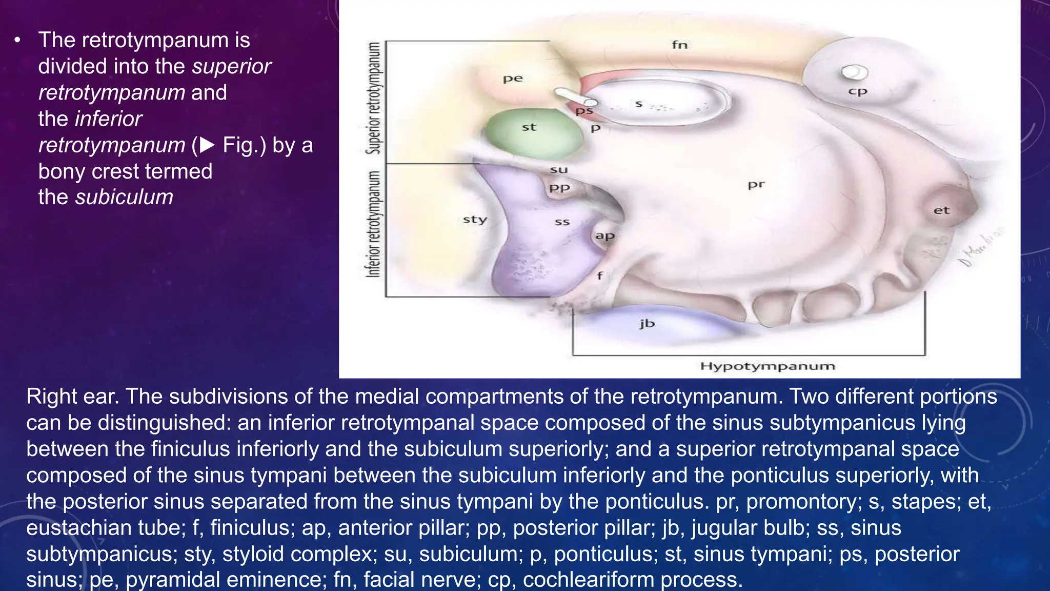 Endoscopic anatomy of middle ear.jshpptx | PPTX