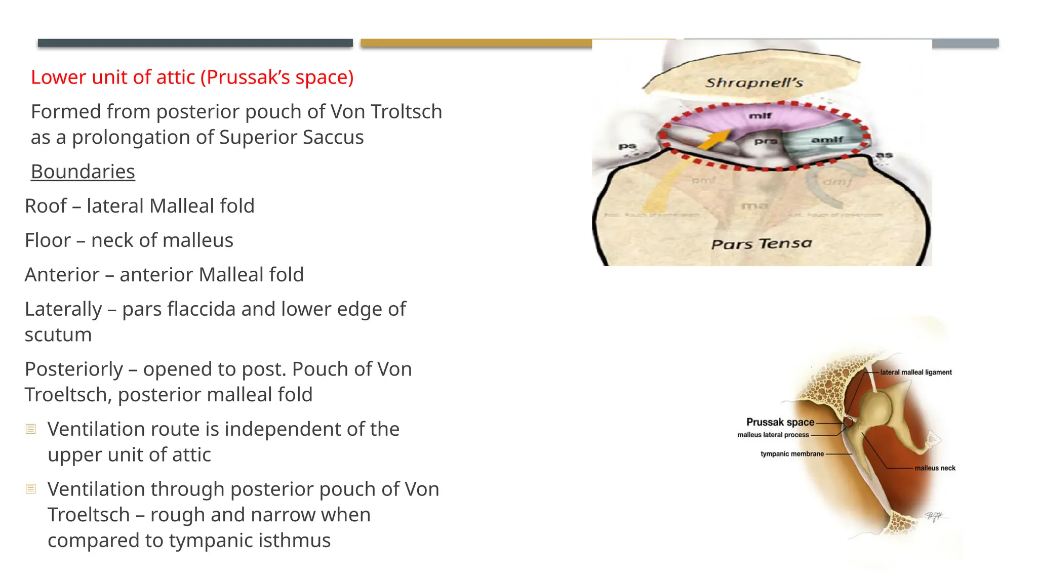 ENDOSCOPIC ANATOMY OF MIDDLE EAR CLEFT AND MUCOSAL FOLDS.pptx