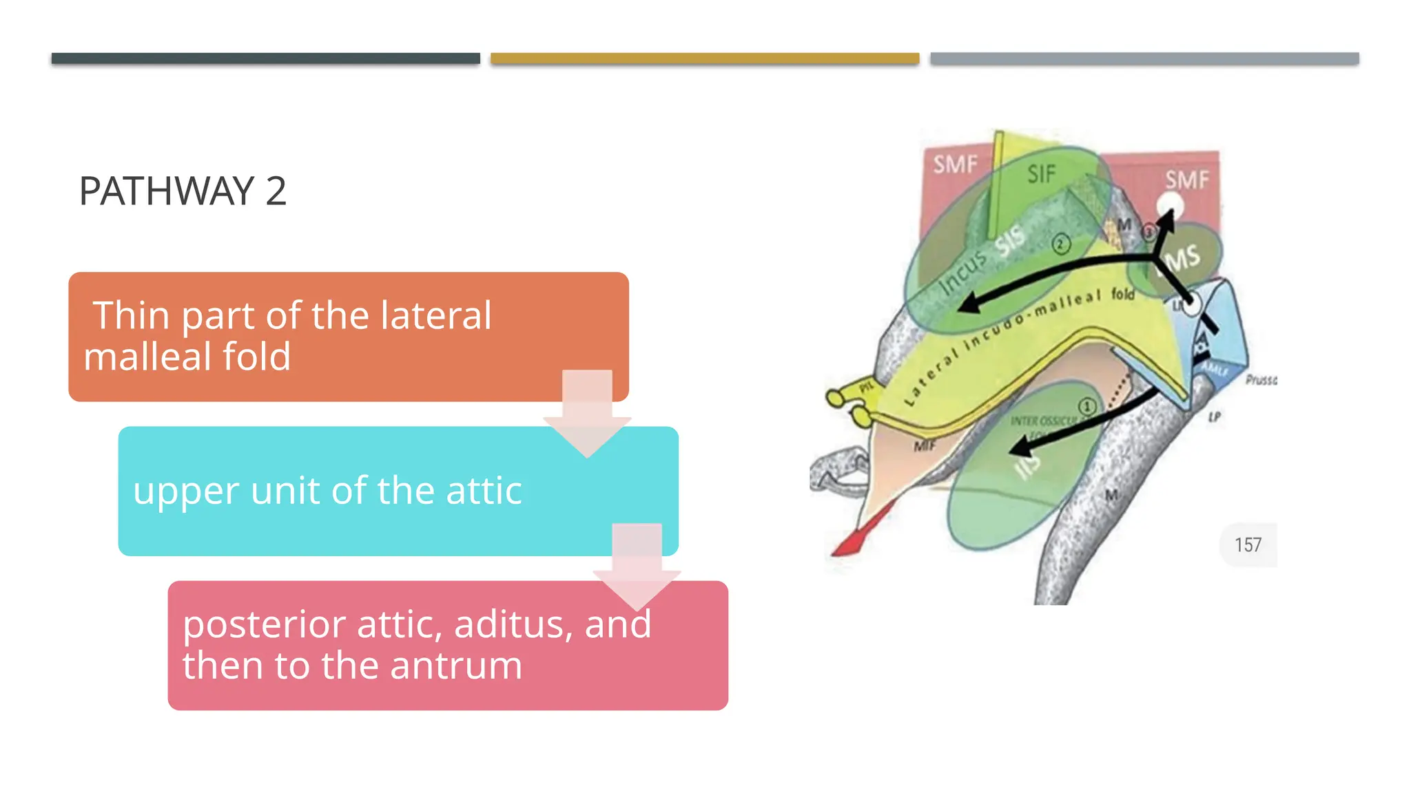 ENDOSCOPIC ANATOMY OF MIDDLE EAR CLEFT AND MUCOSAL FOLDS.pptx