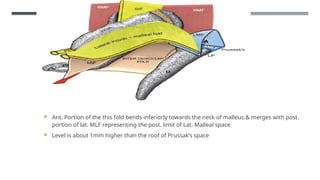 ENDOSCOPIC ANATOMY OF MIDDLE EAR CLEFT AND MUCOSAL FOLDS.pptx