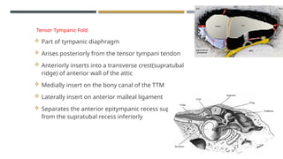 ENDOSCOPIC ANATOMY OF MIDDLE EAR CLEFT AND MUCOSAL FOLDS.pptx