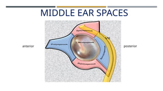 ENDOSCOPIC ANATOMY OF MIDDLE EAR CLEFT AND MUCOSAL FOLDS.pptx